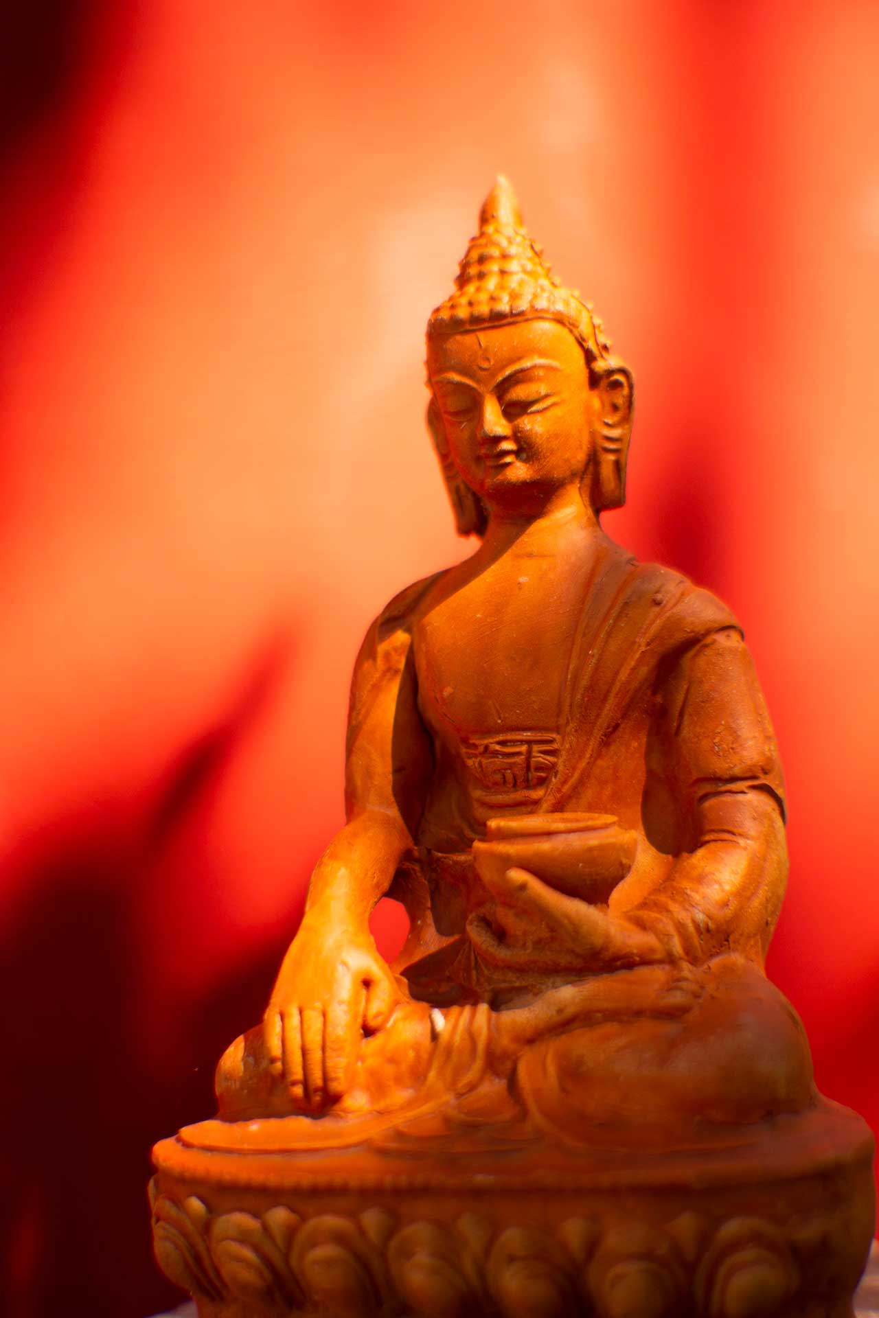In the Footsteps of Buddha | Footsteps of Lord Buddha | Buddhist Tour ...